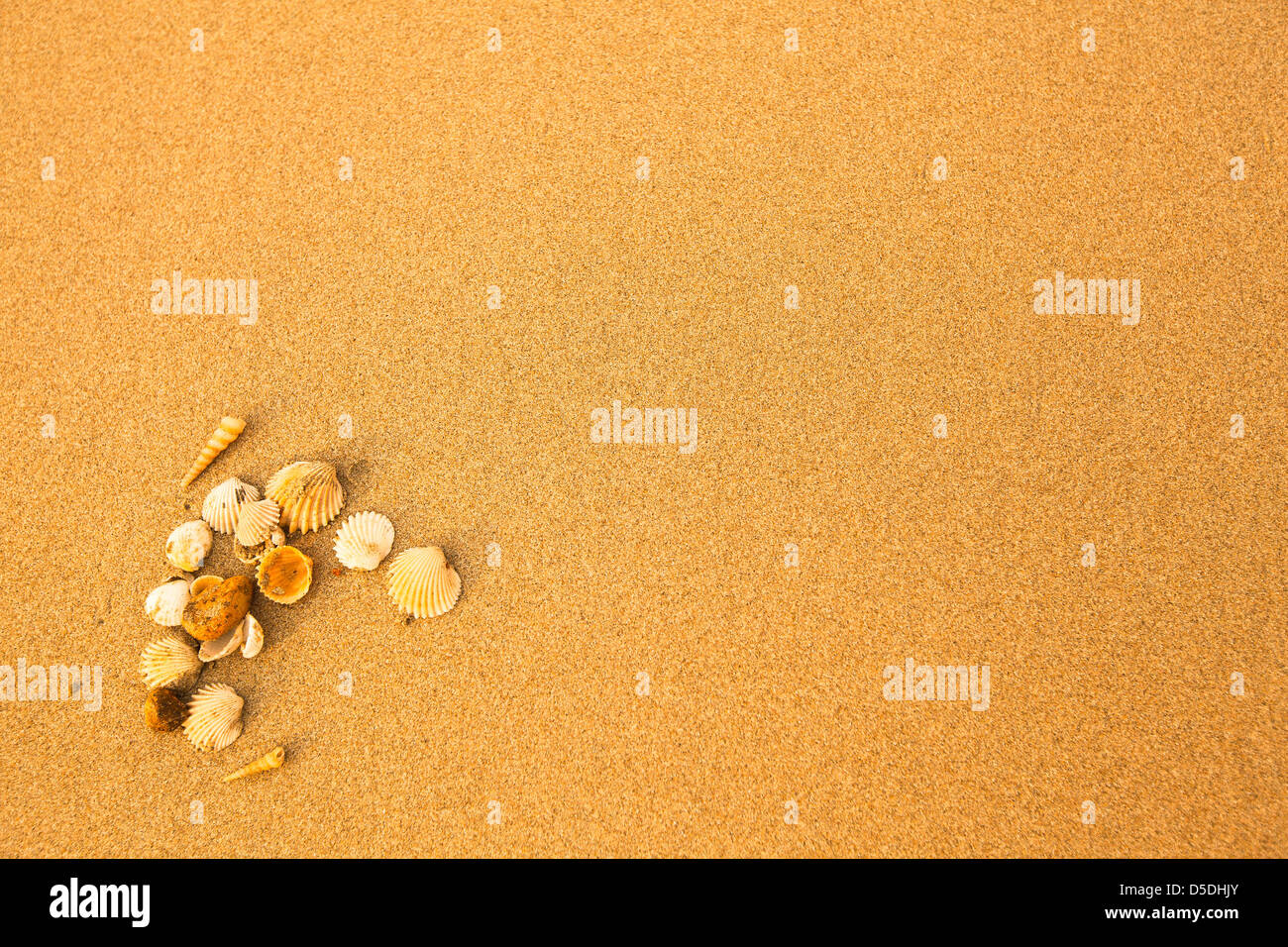 Sand and sea shells hi-res stock photography and images - Alamy