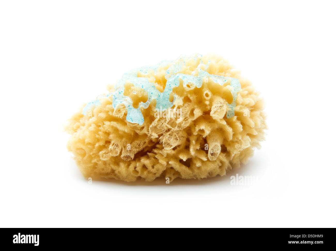 shower gel on natural sponge isolated on white background Stock Photo ...