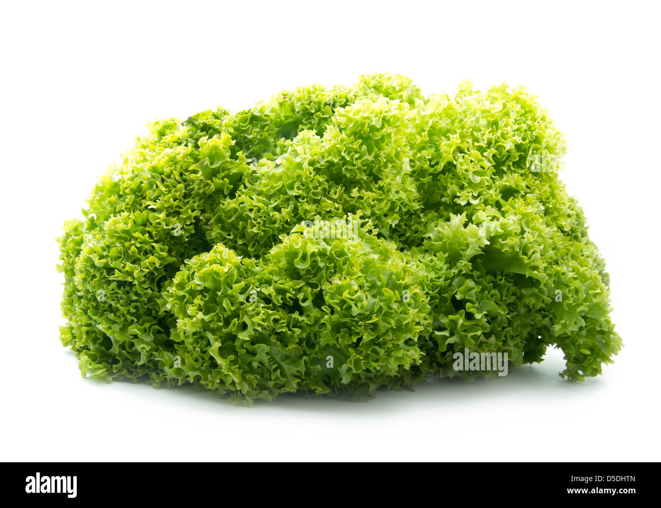 Eating lettuce Cut Out Stock Images & Pictures - Alamy