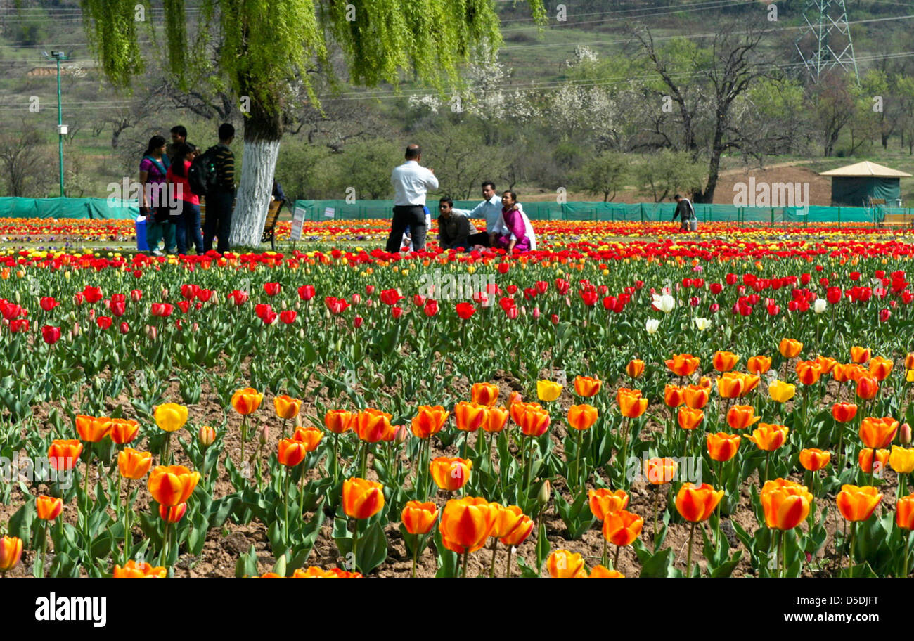 Zabarwan range hi-res stock photography and images - Alamy