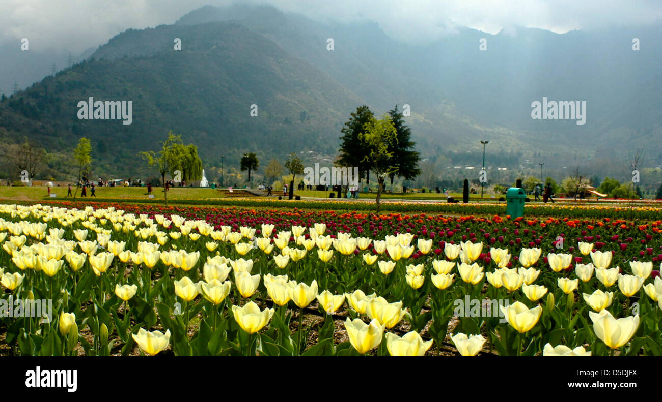 Zabarwan range hi-res stock photography and images - Alamy