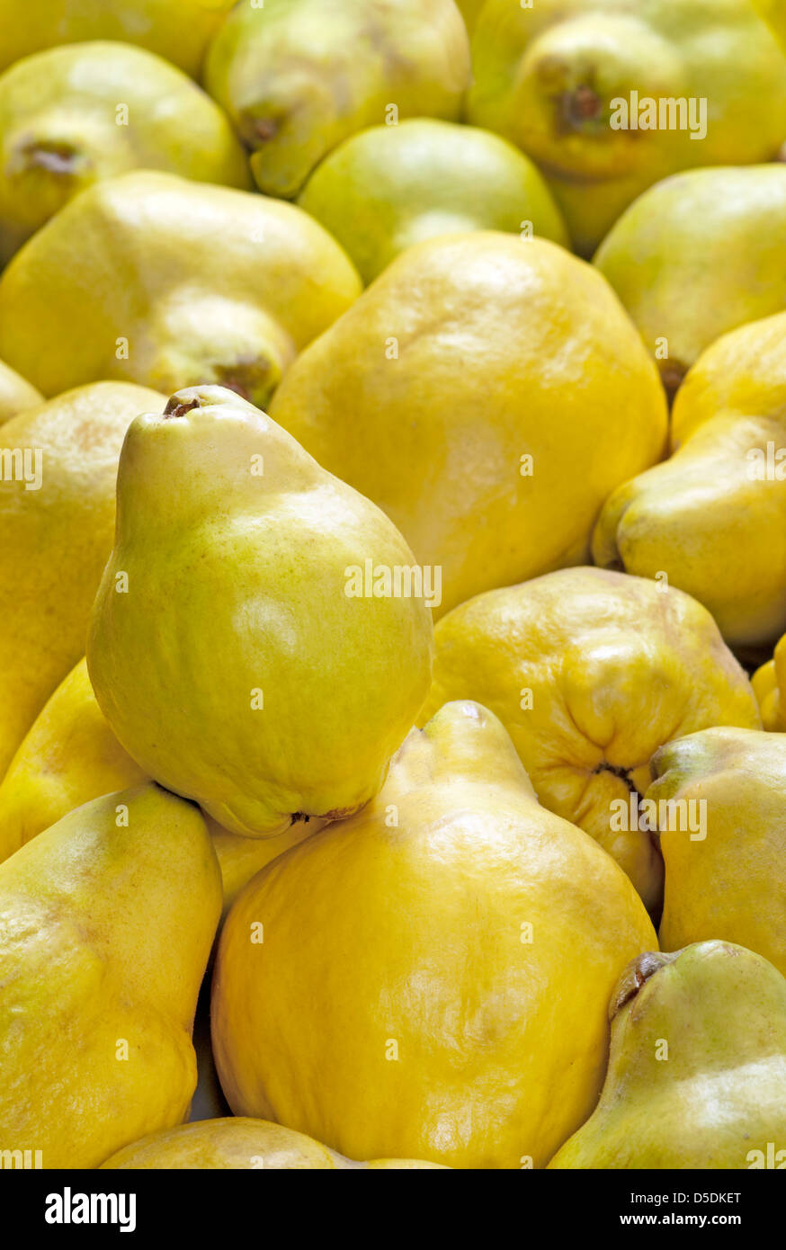 full frame of ripe quince(closeup shot Stock Photo - Alamy