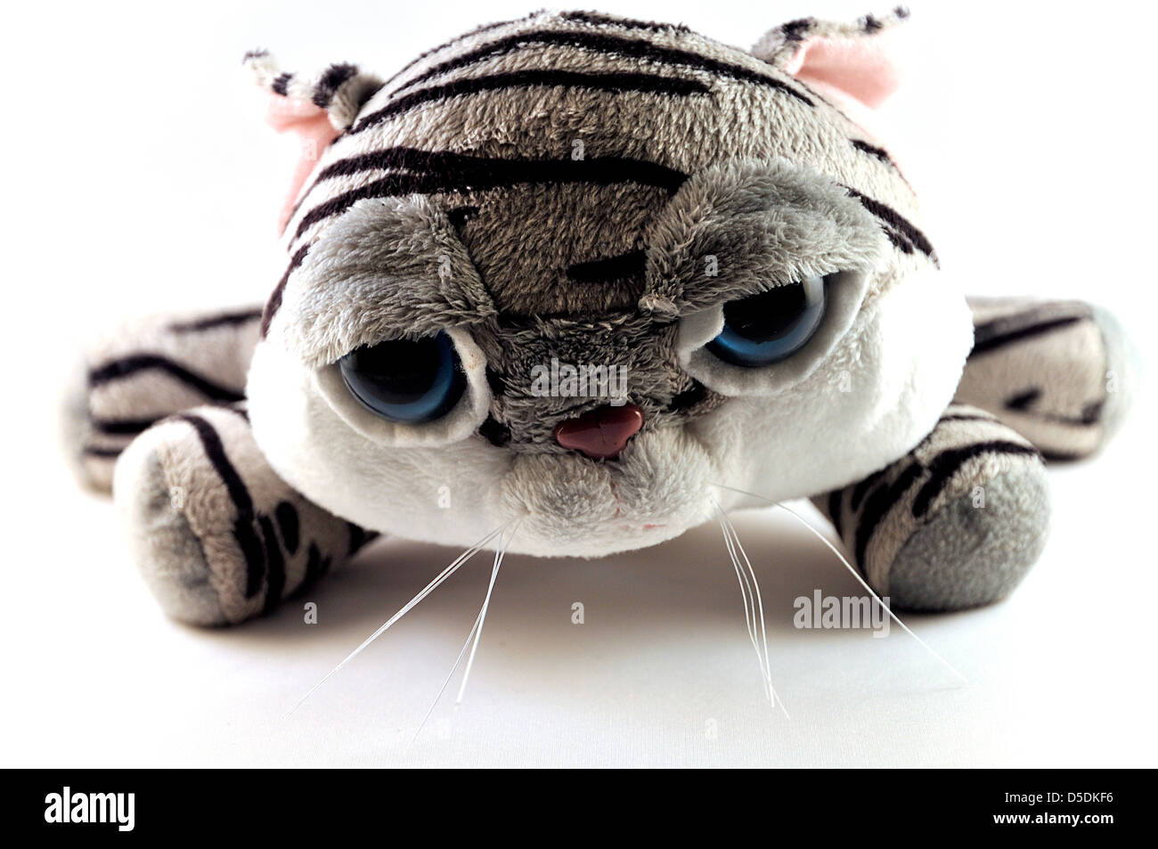 teddy bear very nice and funny Stock Photo - Alamy