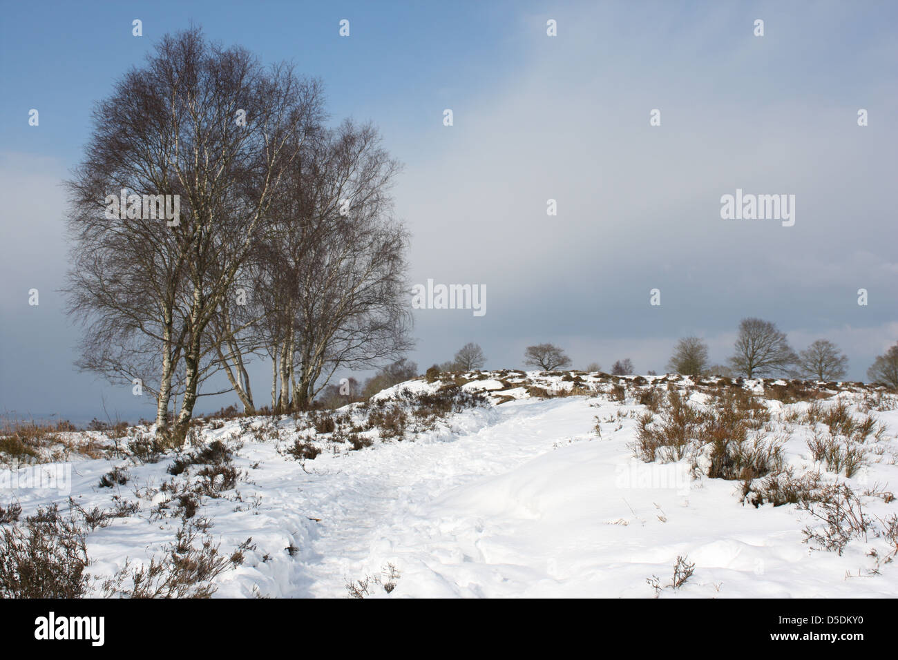 English landscape in the snow, Bickerton in Cheshire Stock Photo - Alamy