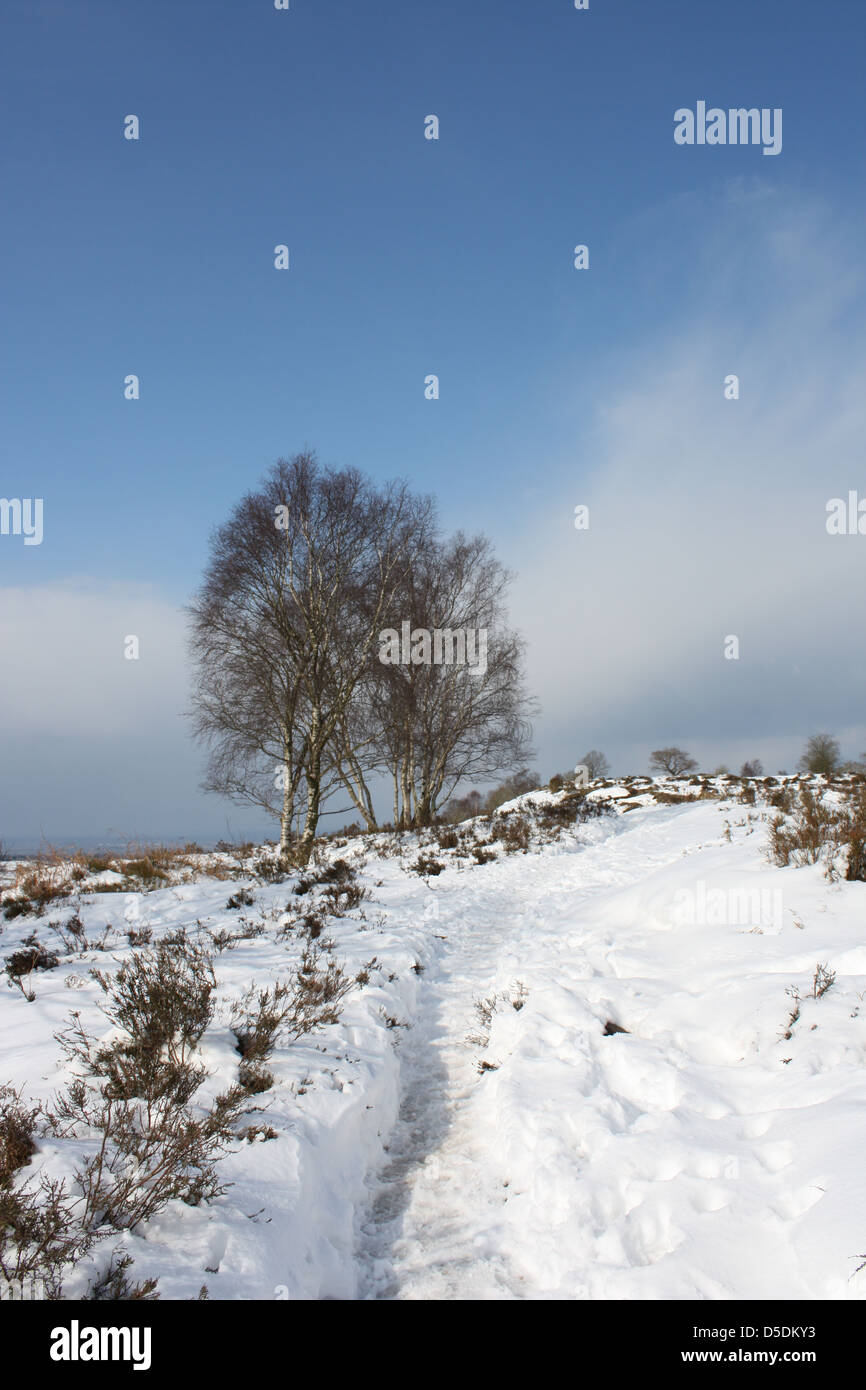 English landscape in the snow, Bickerton in Cheshire Stock Photo - Alamy