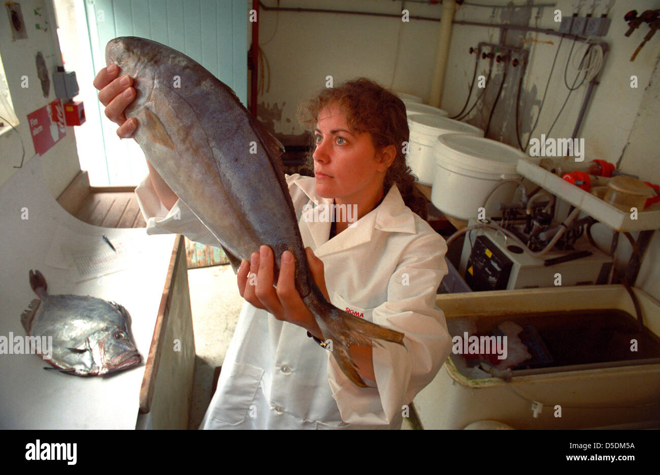 Marine Biologist With Fish