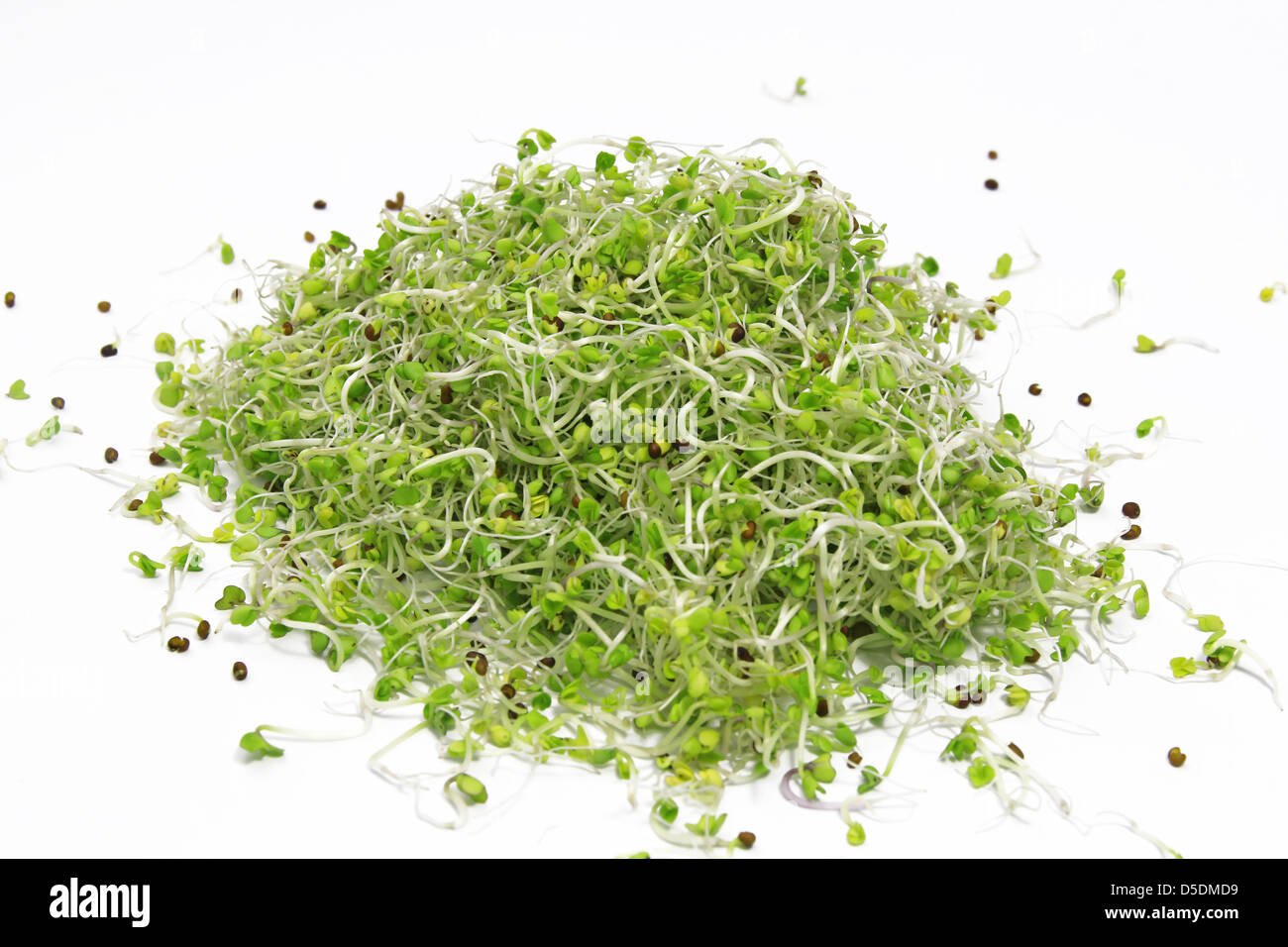 Sprouts germ hi-res stock photography and images - Alamy