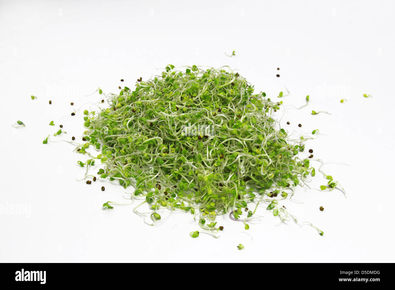 pile of fresh, green sprouts Stock Photo - Alamy