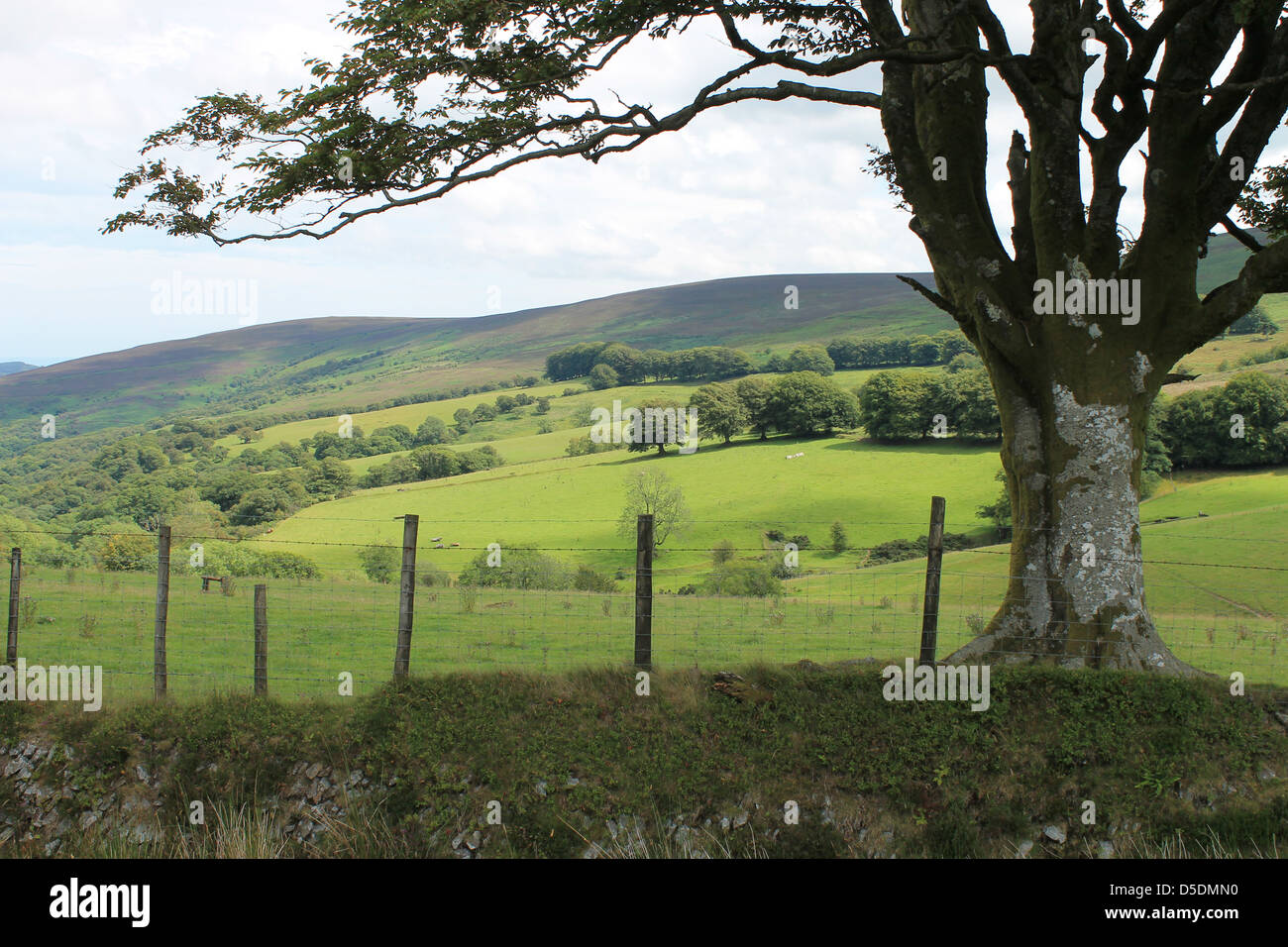 Dunkery beacon gate hi-res stock photography and images - Alamy