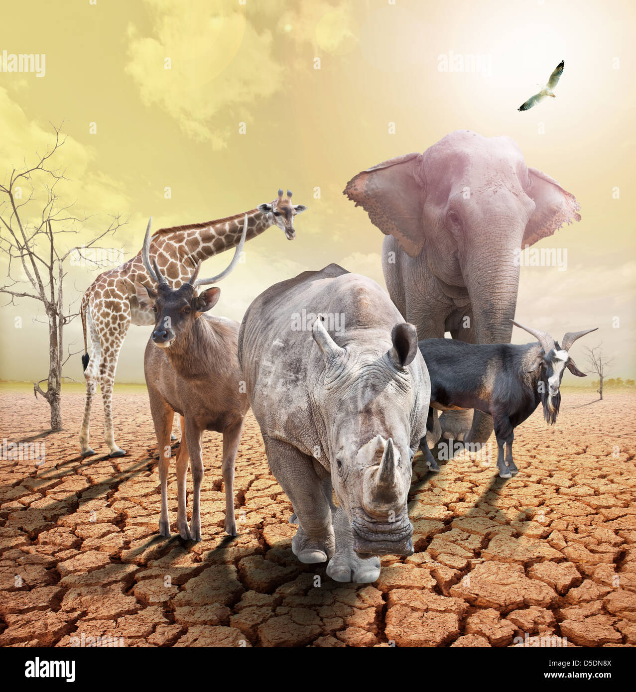 animals concept image of global warming Stock Photo - Alamy