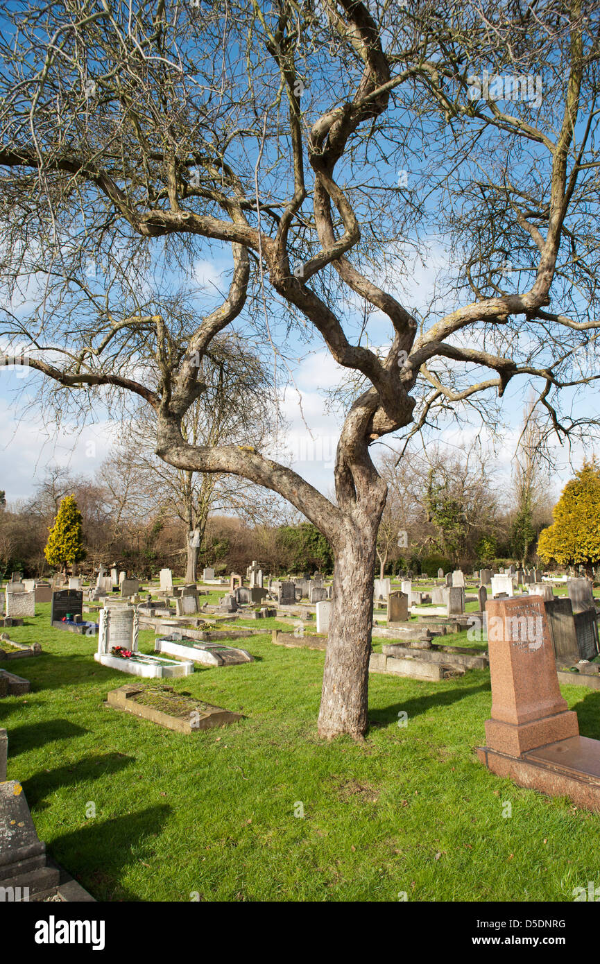 Alperton cemetery London Stock Photo - Alamy