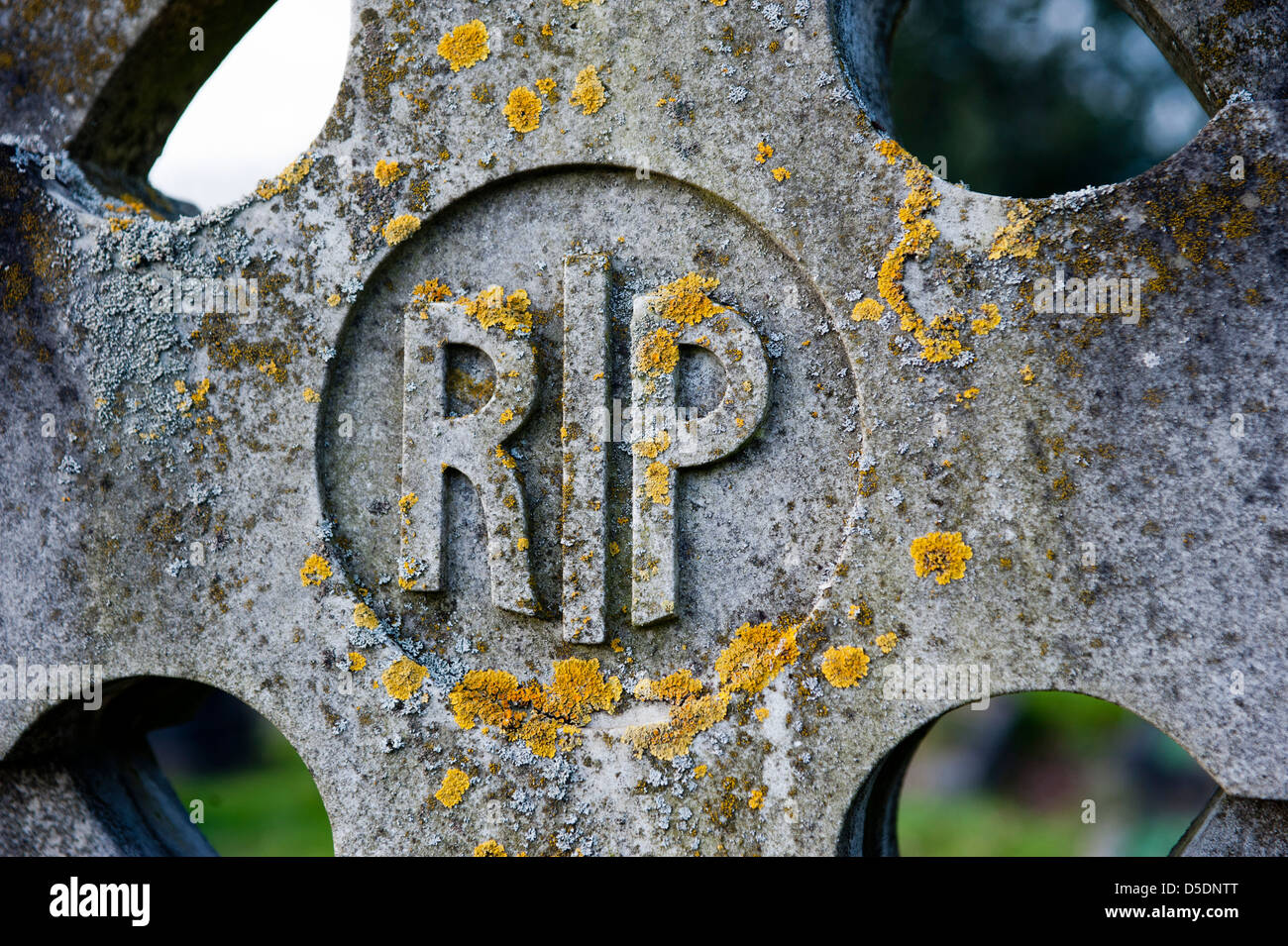 Alperton cemetery London, a celtic shaped rip sign on a grave Stock ...