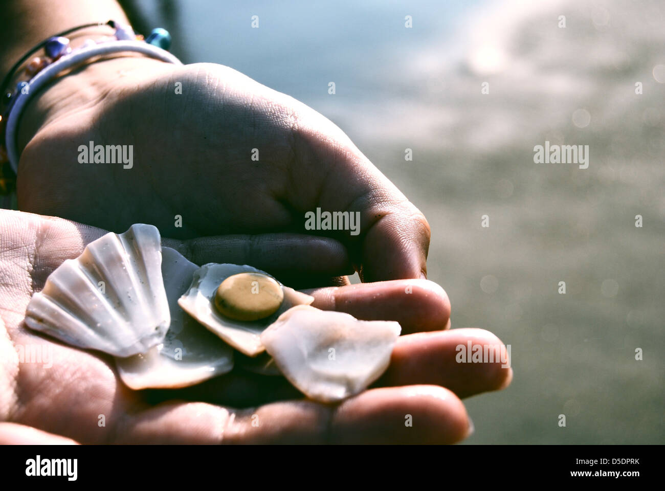 Broken shells High Resolution Stock Photography and Images - Alamy
