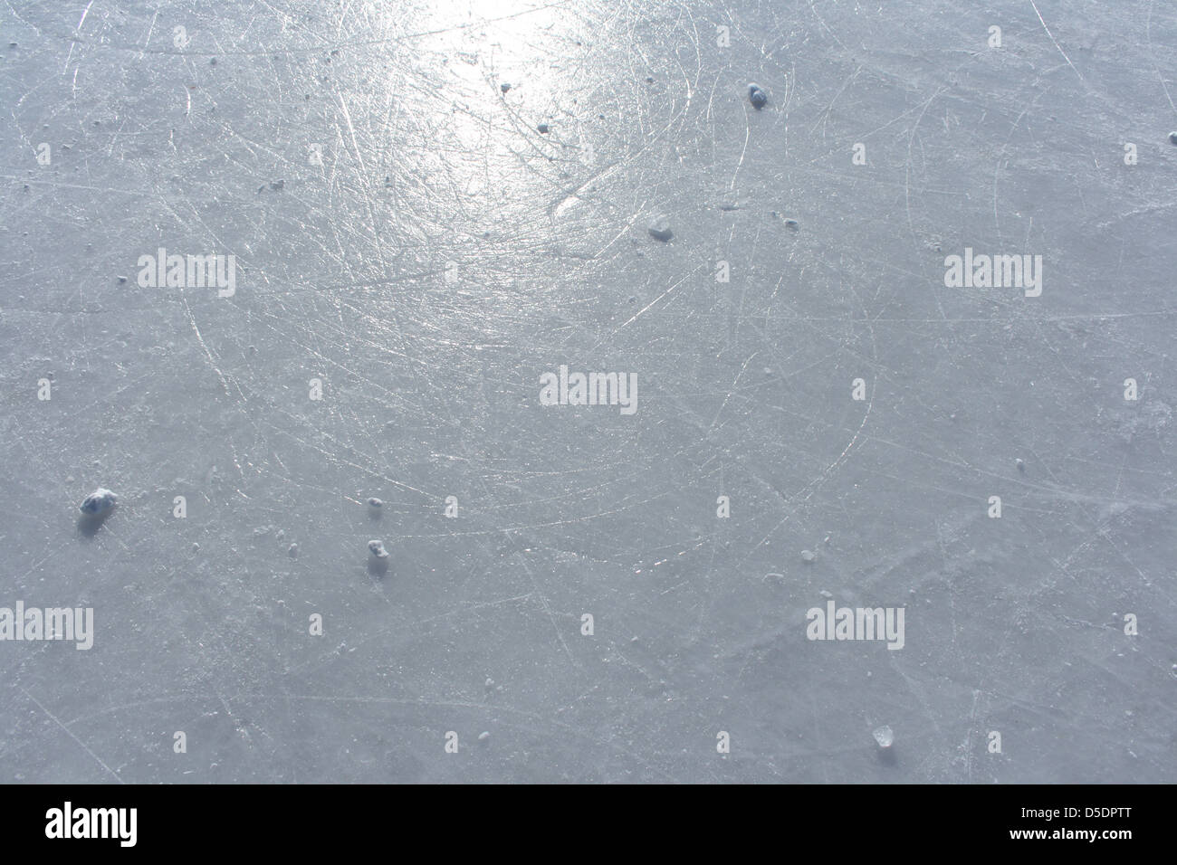 Seamless Ice Rink Texture