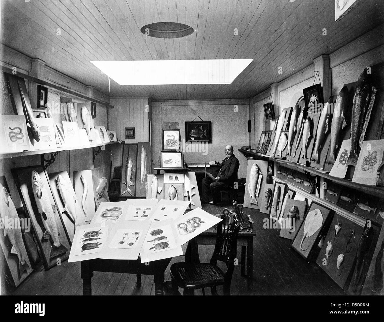 International process art hi-res stock photography and images - Alamy