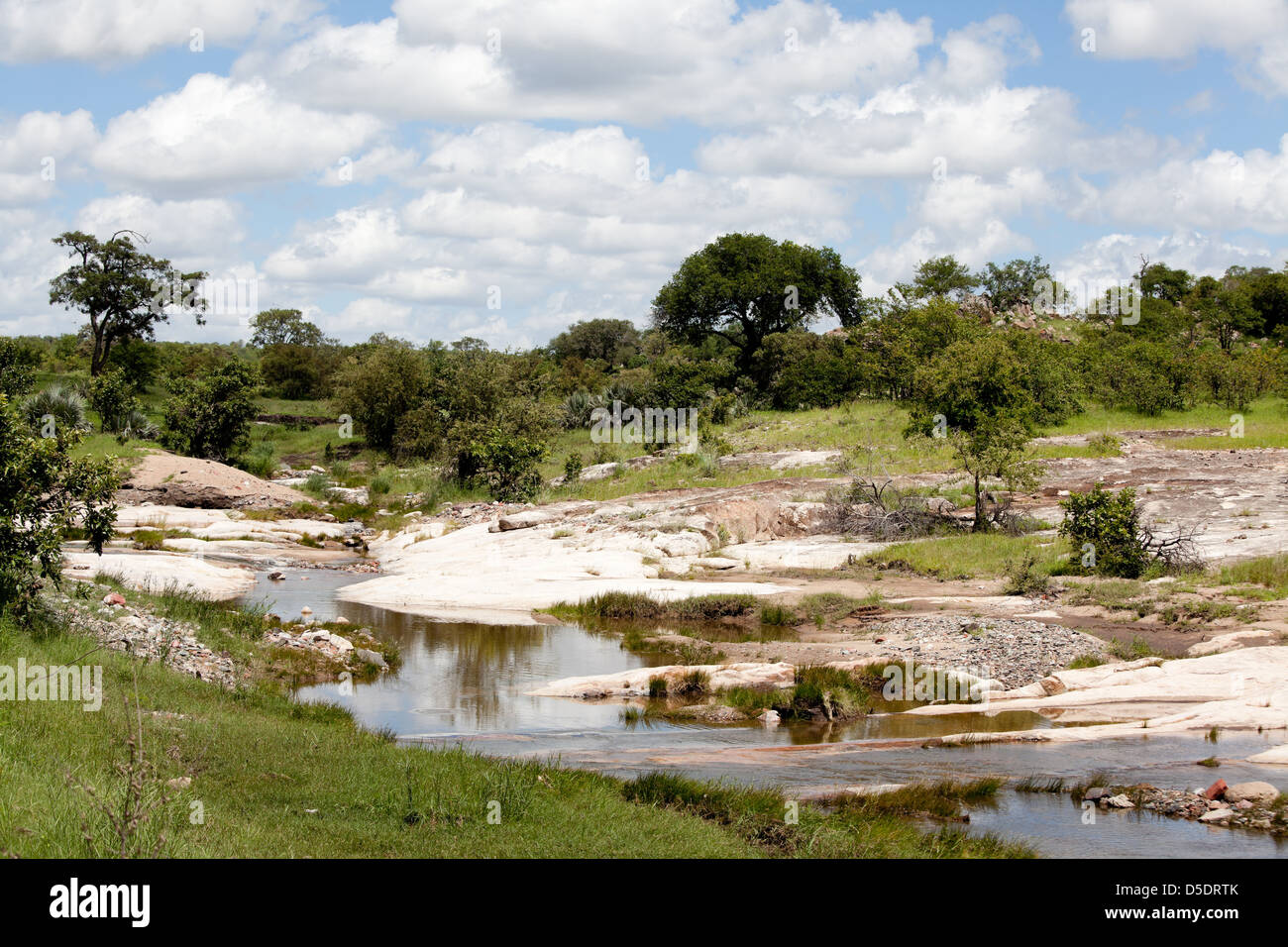 Landscape of country in safari park. South Africa, Kruger's National Park Stock Photo - Alamy