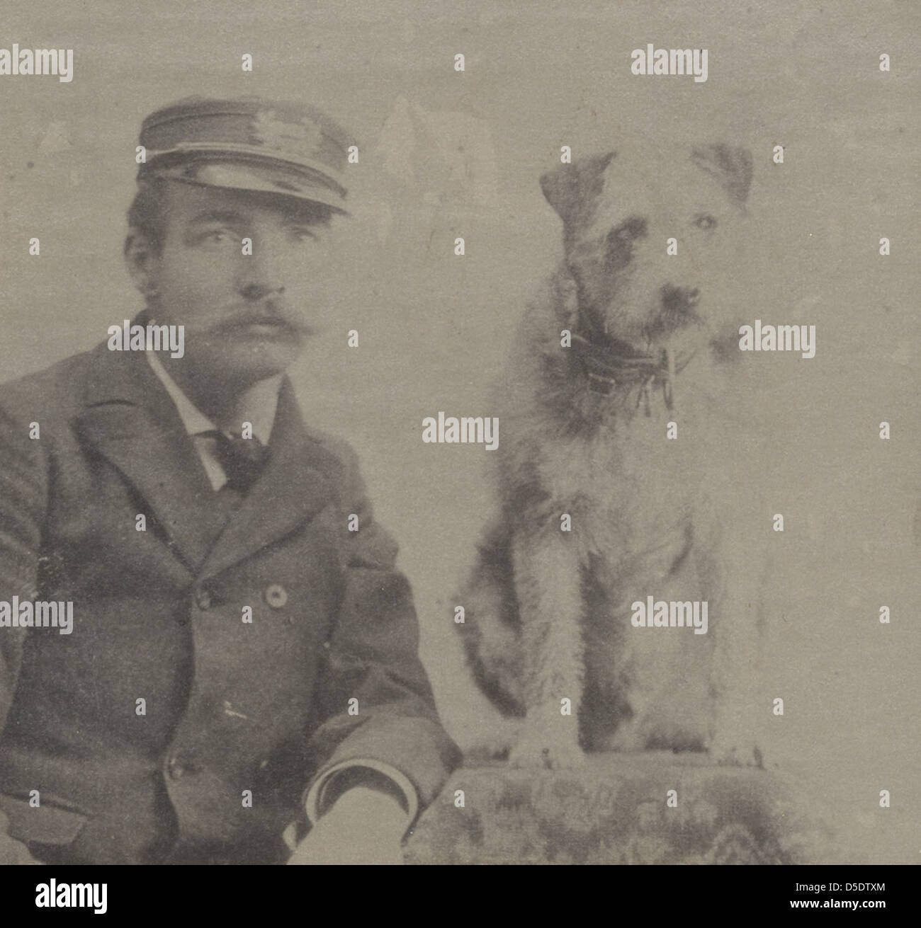 Mail carrier dog hi-res stock photography and images - Alamy