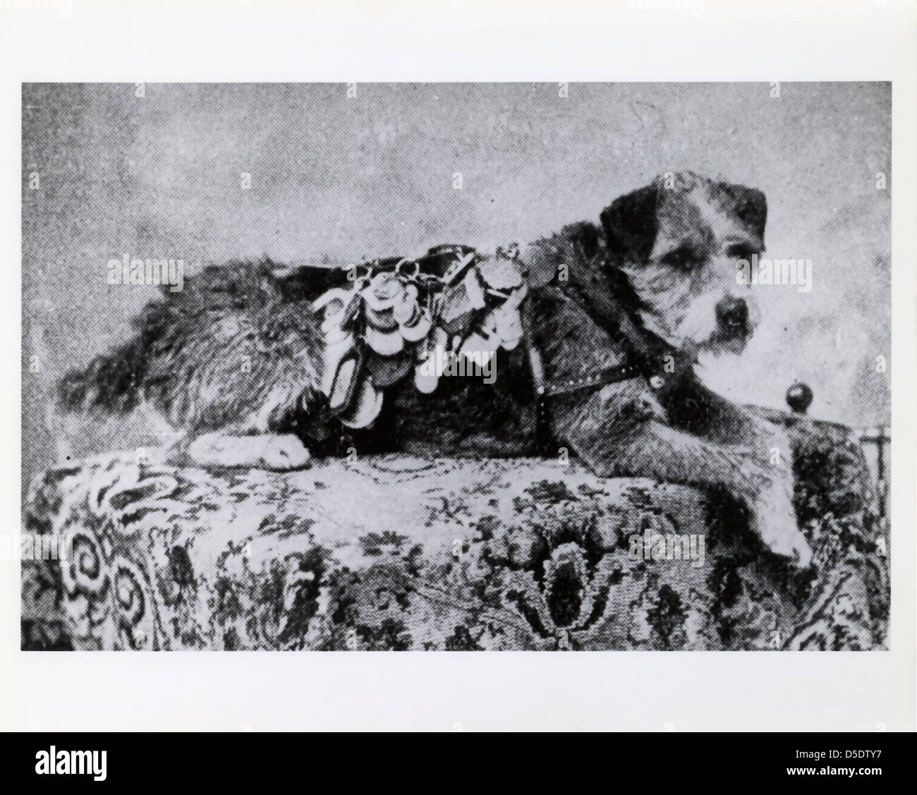 Owney, the dog mascot of the United States Postal Service, is depicted ...