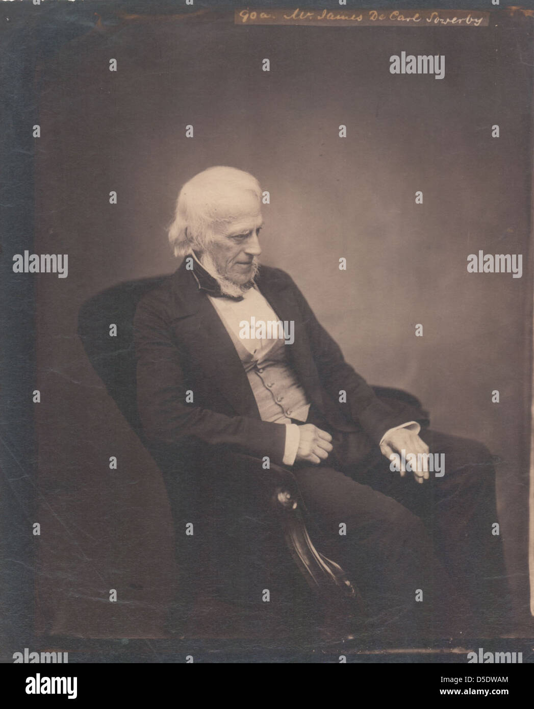 James Sowerby Stock Photos & James Sowerby Stock Images - Alamy