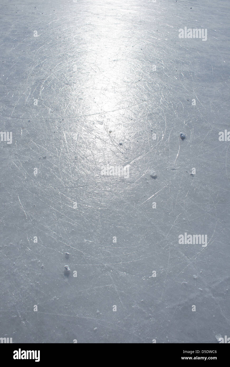 Surface of an outdoor ice rink replete with skate marks reflects the ...