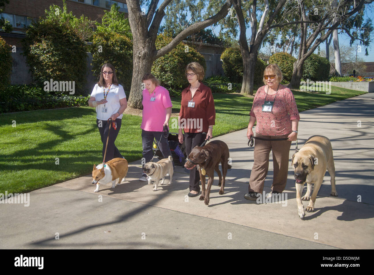Senior school exams hi-res stock photography and images - Alamy