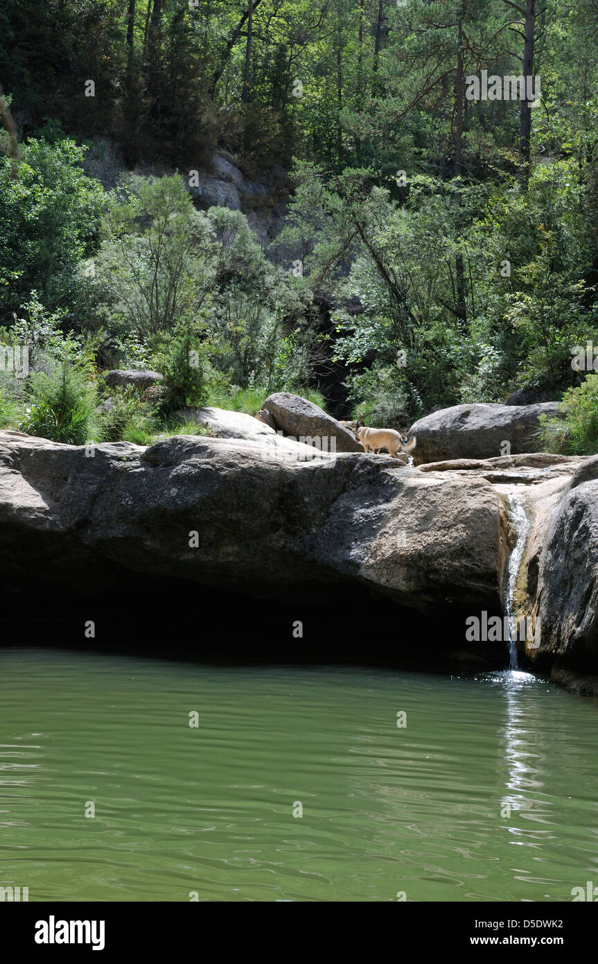 Campdevanol wells River where you can swim Stock Photo - Alamy
