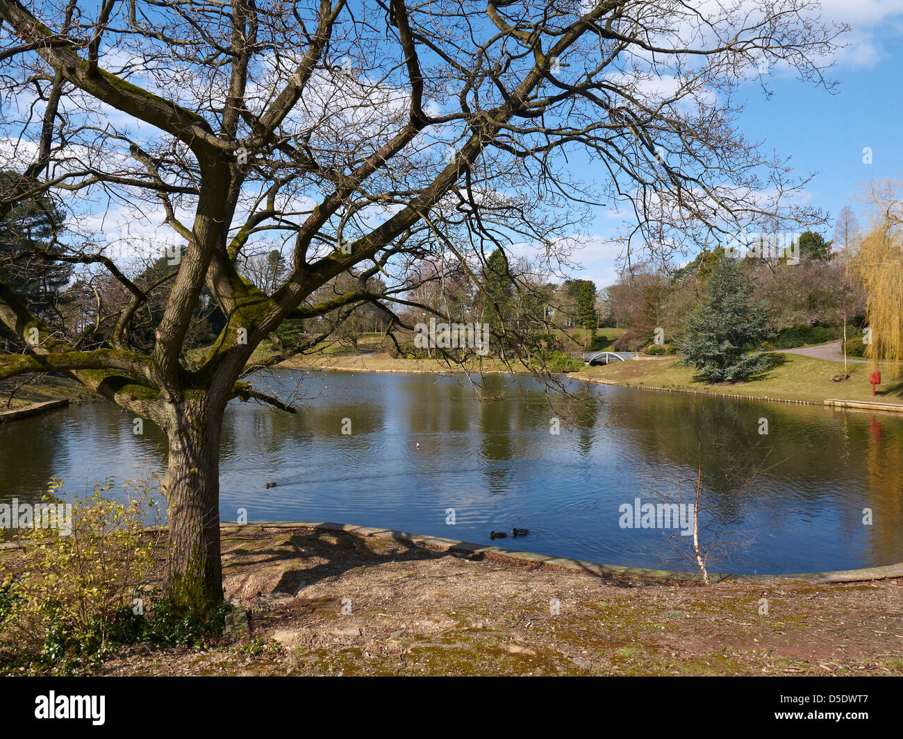 The all new, in 2013, Queens Park in Crewe Cheshire UK Stock Photo - Alamy