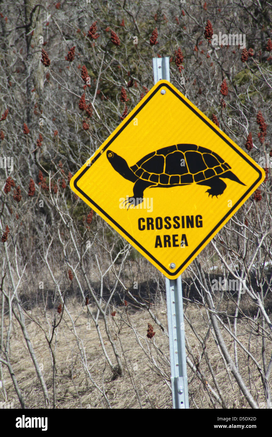 Yellow sign warning of possibility of turtles crossing the roads ...