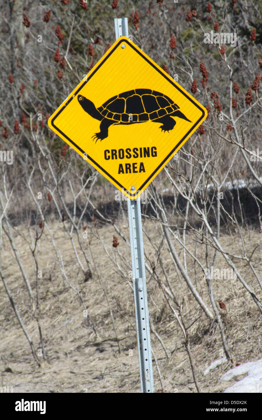Yellow sign warning of possibility of turtles crossing the roads ...