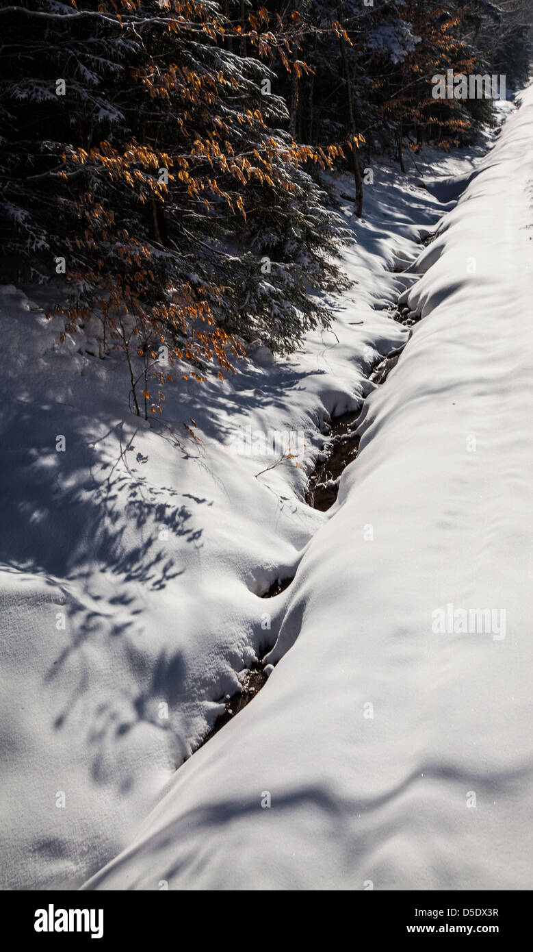 A snow creek peaks through the fresh snow on a winter morning Stock ...