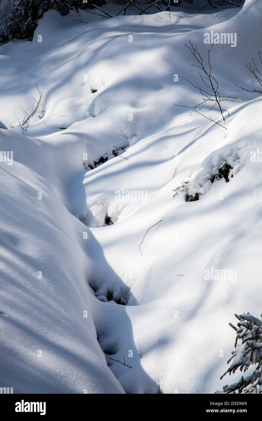 A snow creek peaks through the fresh snow on a winter morning Stock ...