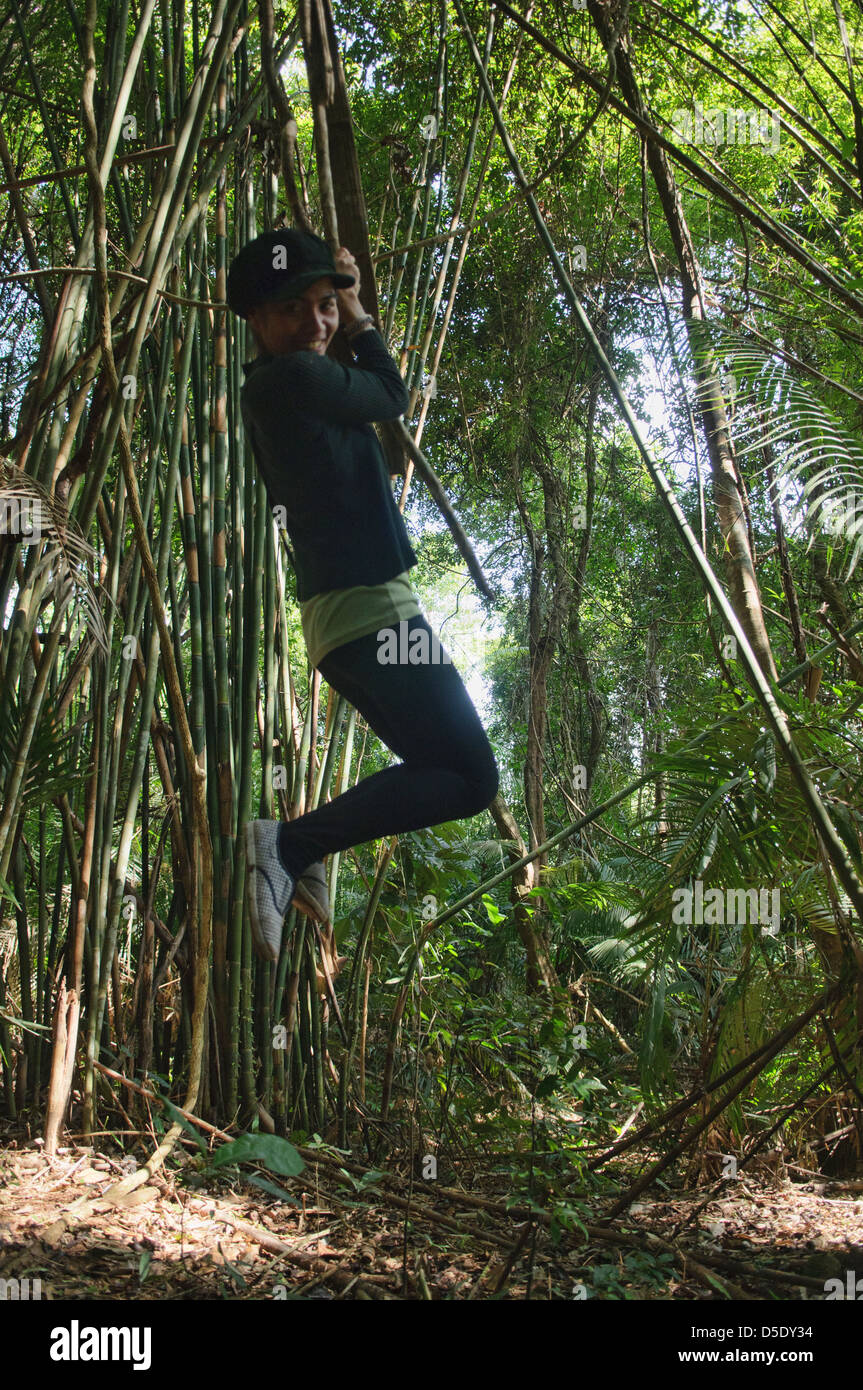 swinging on a vine on a jungle trek in Luang Nam Tha, Laos Stock Photo ...
