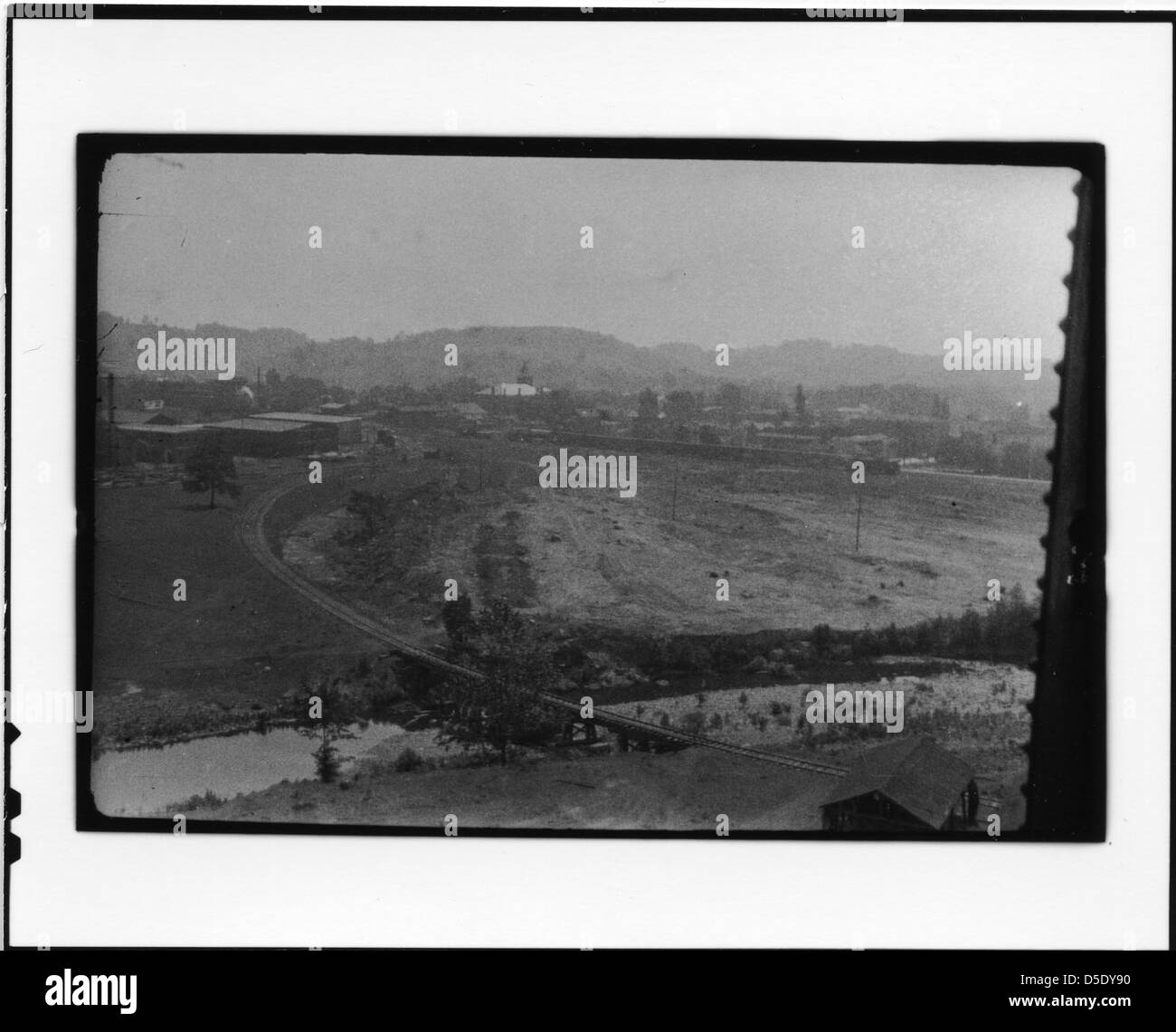 Teoría de la evolución hi-res stock photography and images - Alamy