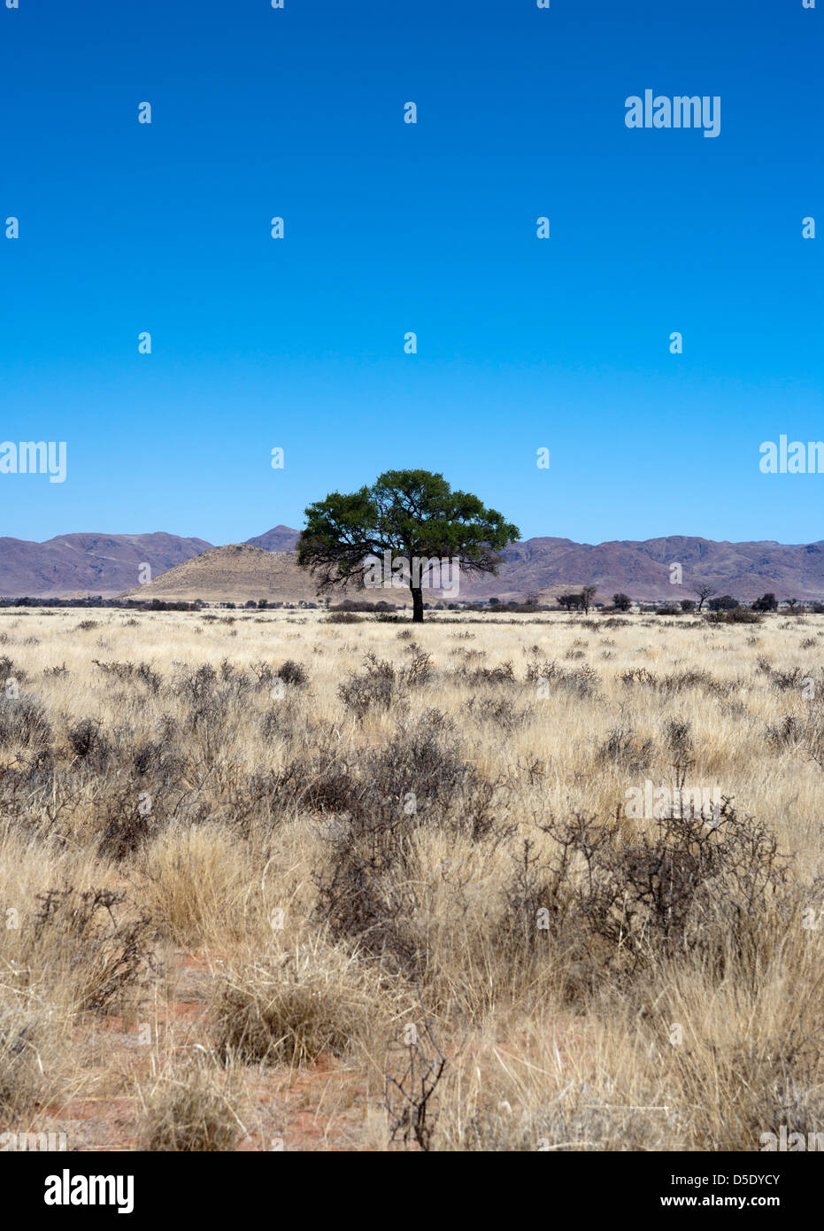 Windhoek rural hi-res stock photography and images - Alamy