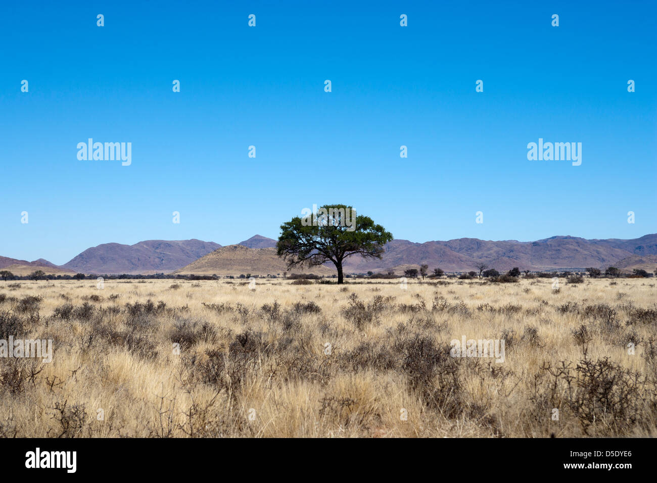 Windhoek rural hi-res stock photography and images - Alamy
