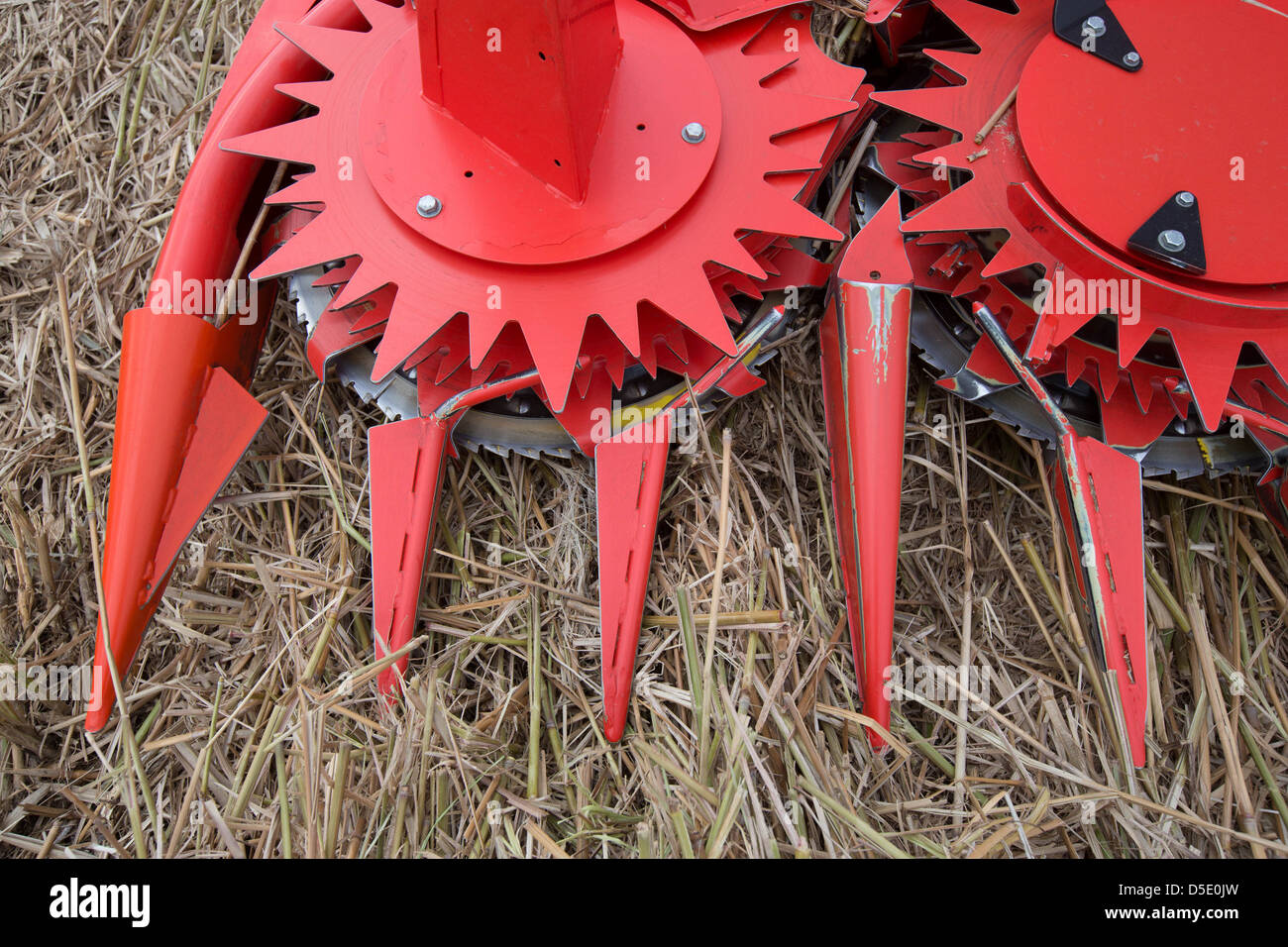 Header on a forage harvester used for harvesting Miscanthus for use as ...