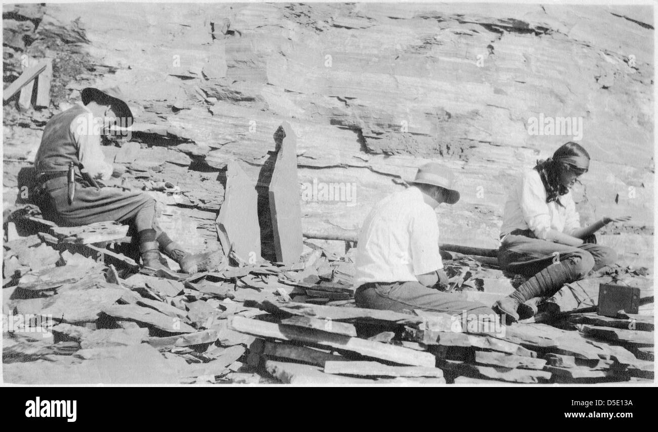 A photograph from the Smithsonian Institution Archives showing Charles ...