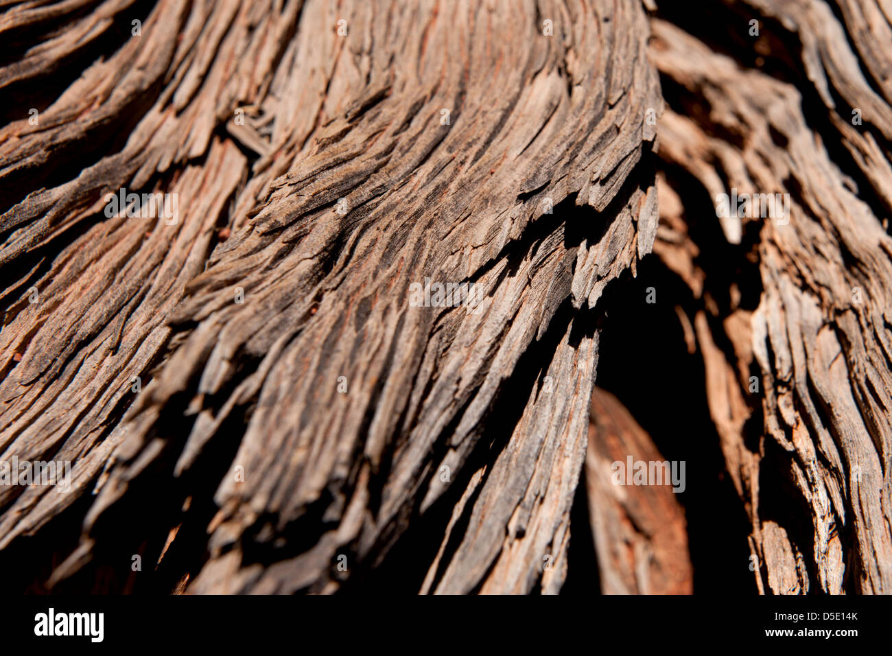 Branch bark hi-res stock photography and images - Alamy