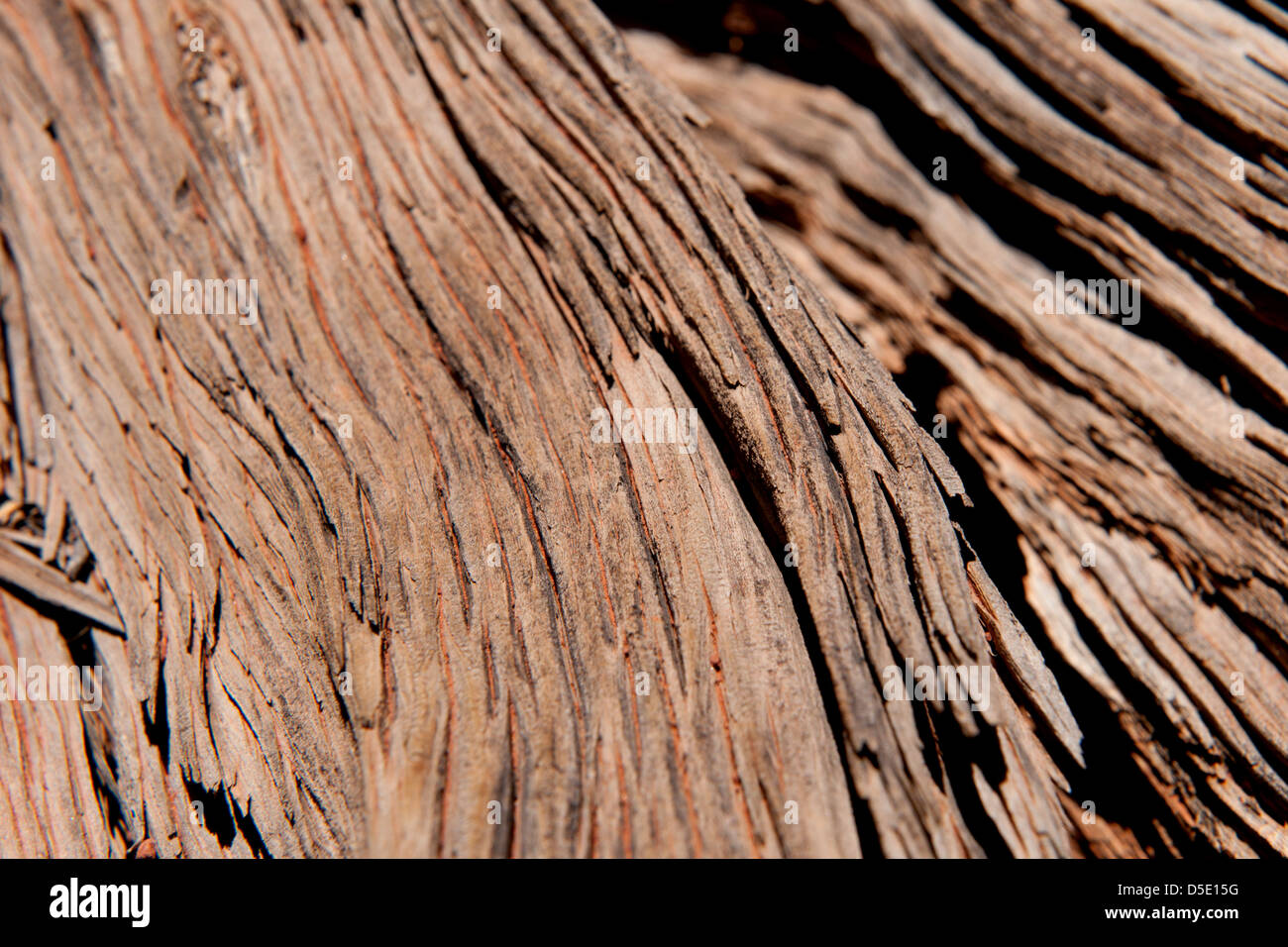 Branch bark hi-res stock photography and images - Alamy