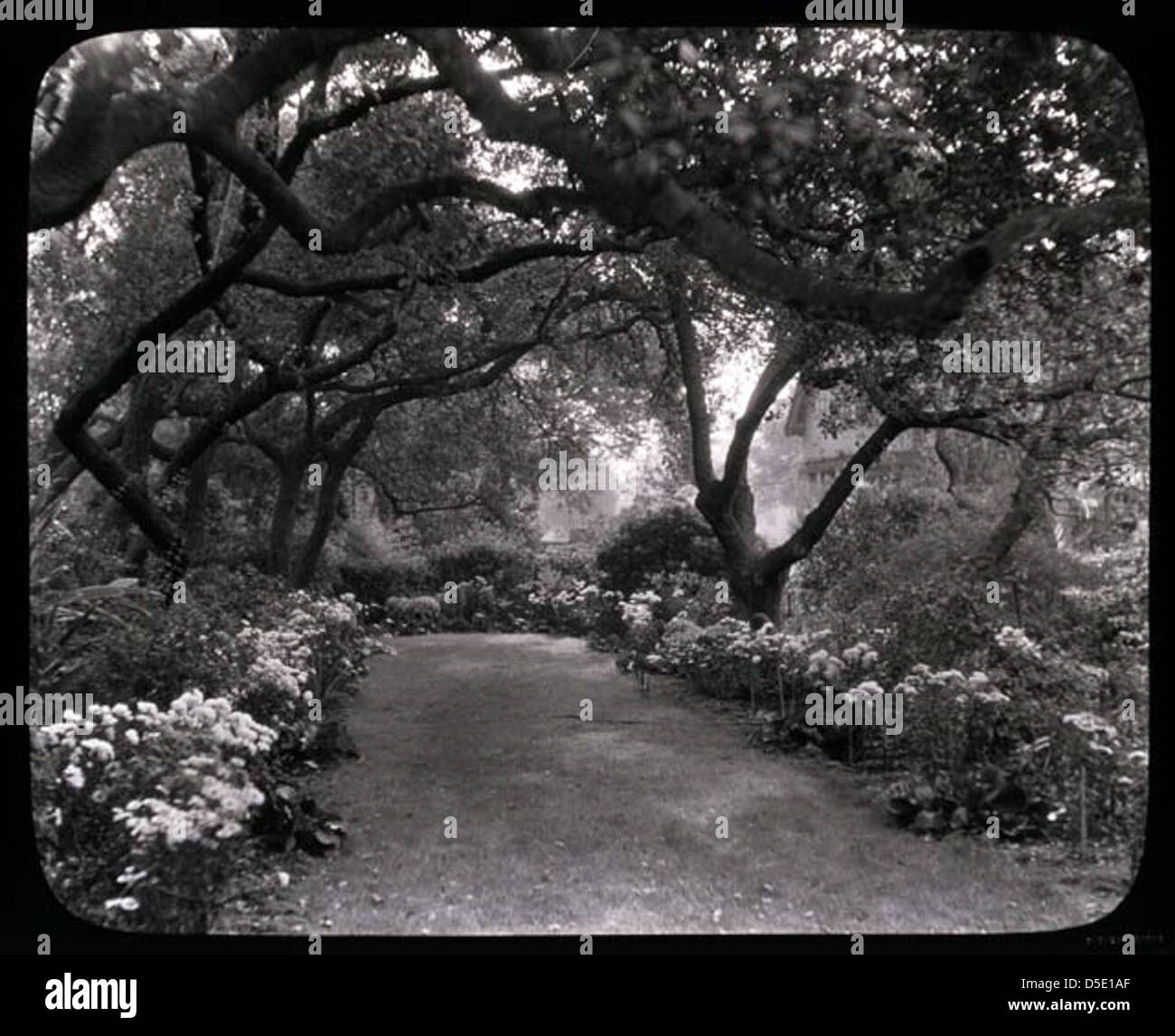 This image shows an unidentified garden in Pasadena, California ...