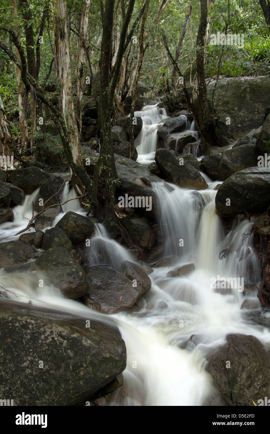 Behana Gorge near Cairns, Queensland, Australia Stock Photo - Alamy
