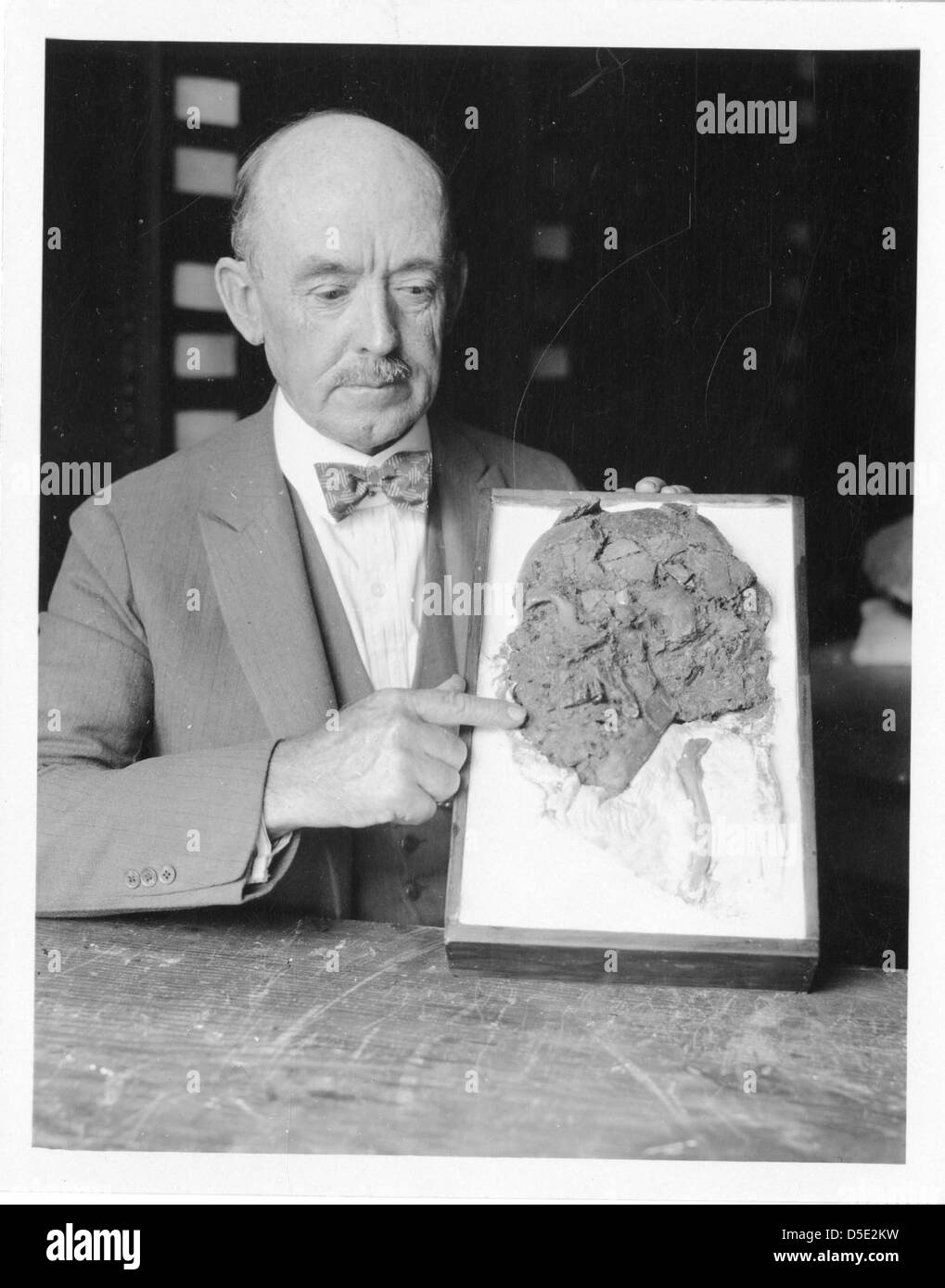 Paleontologist at work Cut Out Stock Images & Pictures - Alamy