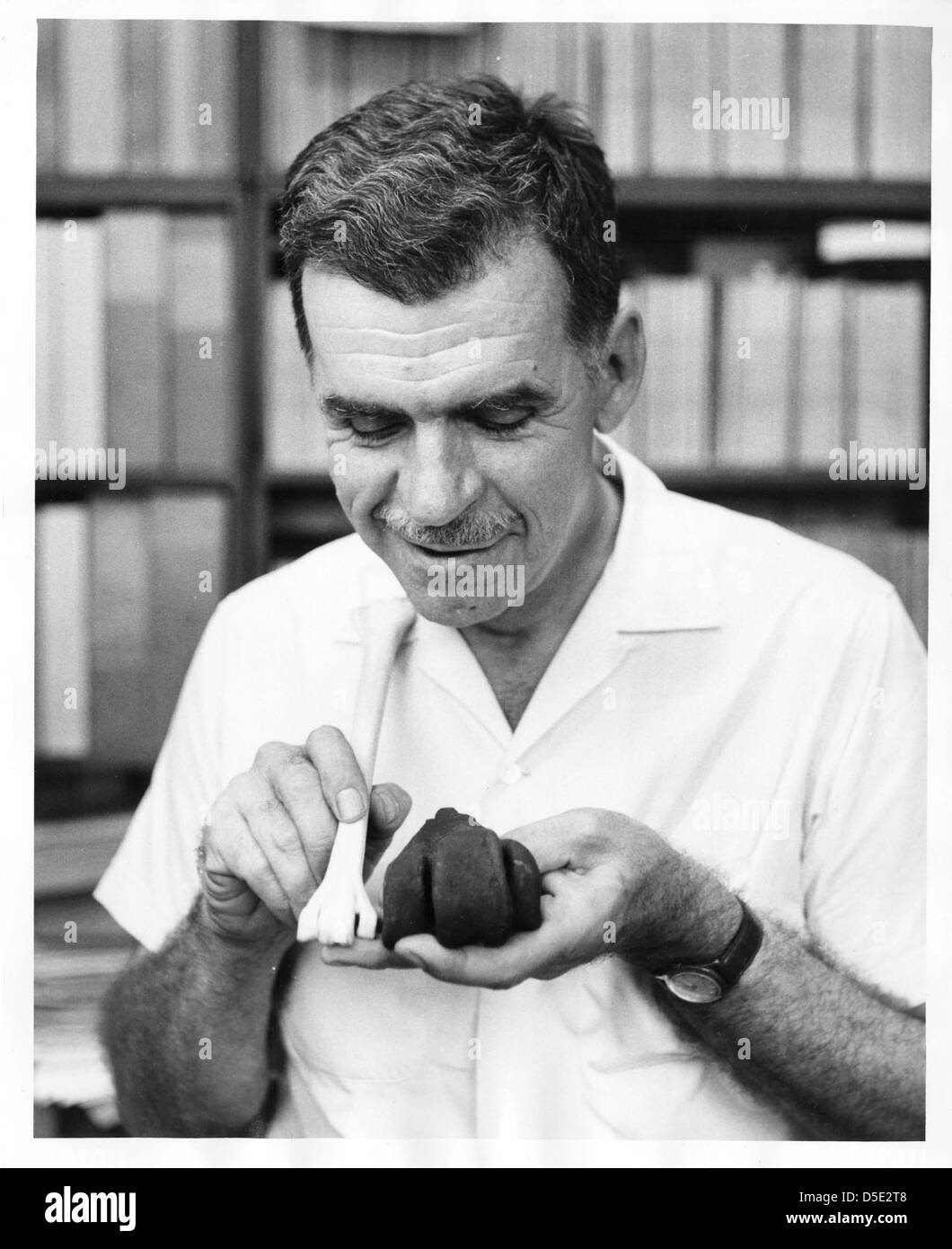 Brodkorb High Resolution Stock Photography and Images - Alamy