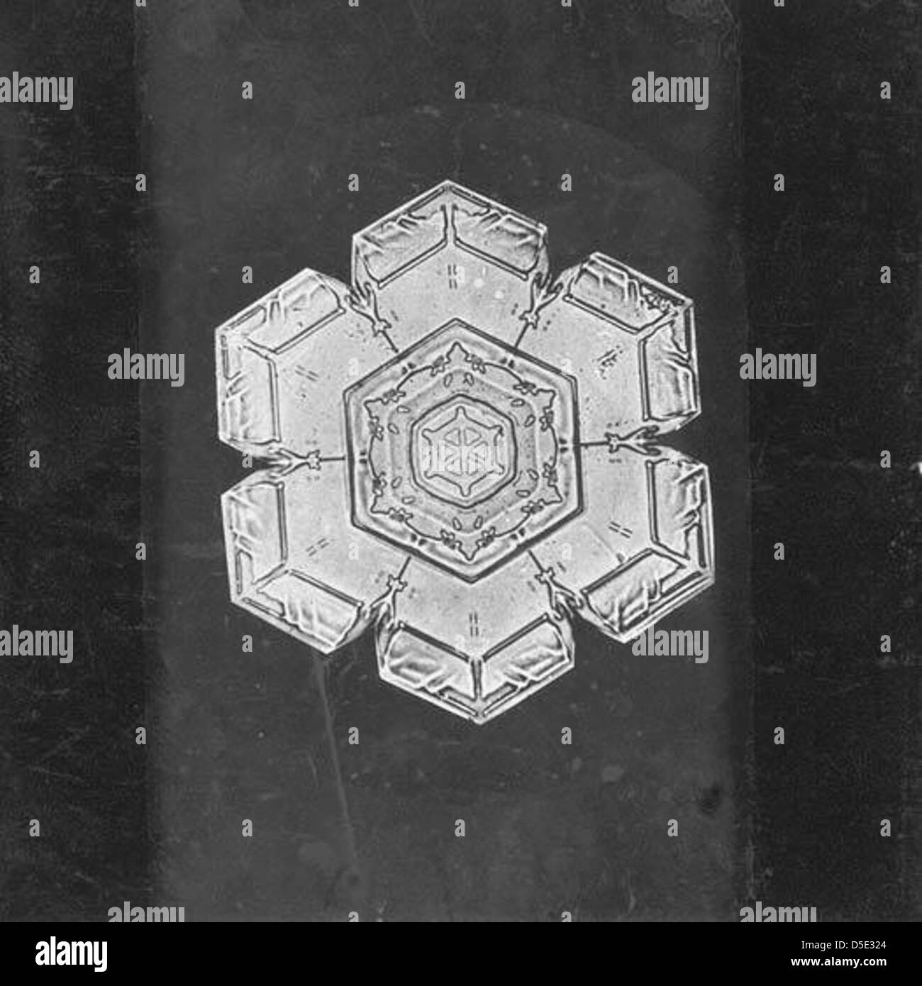 This image is a detailed study of a snowflake, captured as part of a ...