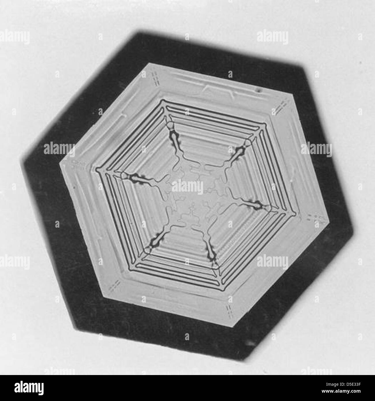 This photograph showcases a close-up of a snowflake, captured for ...