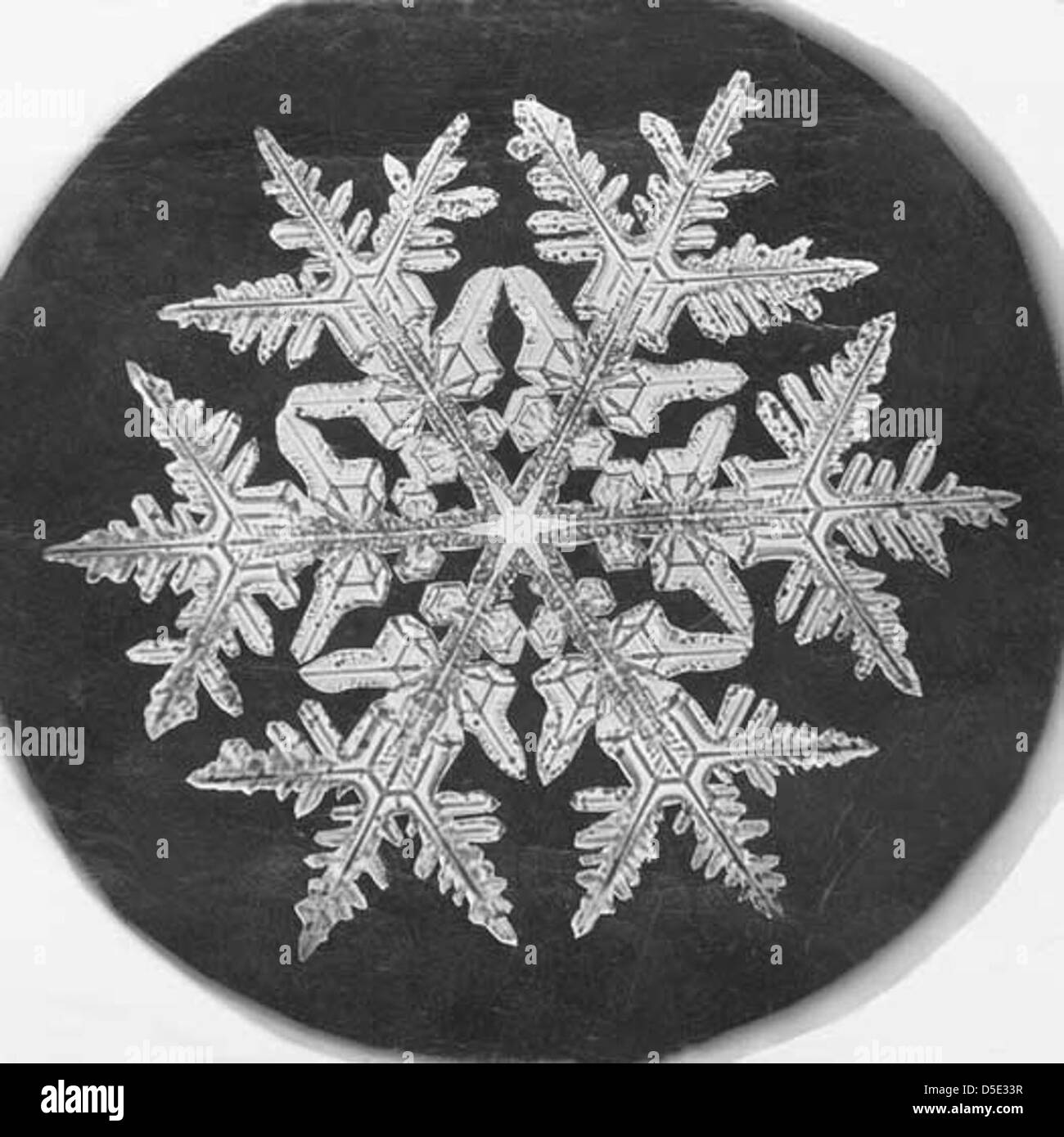 A detailed study of snowflakes, conducted by the Smithsonian ...