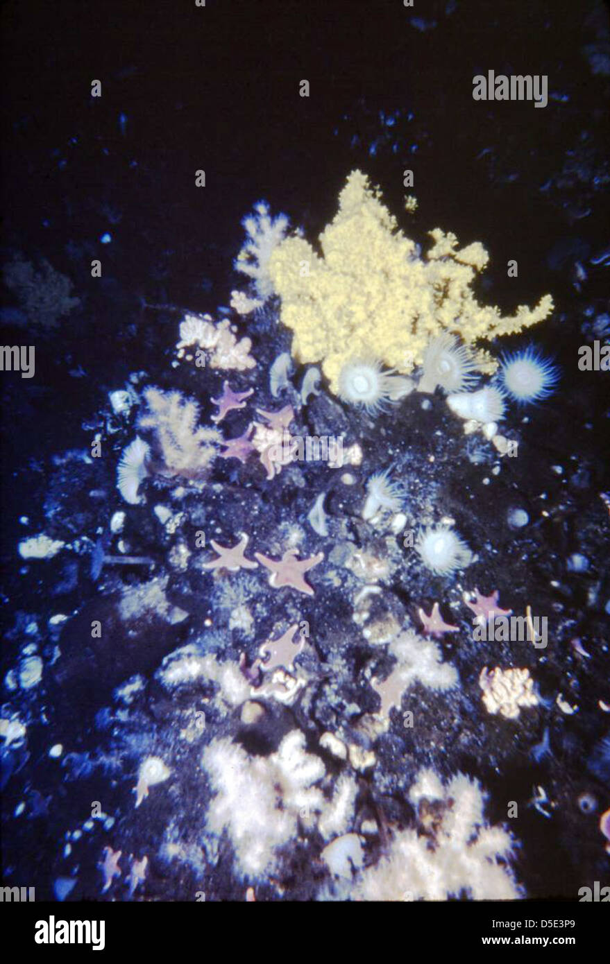 85 feet hi-res stock photography and images - Alamy