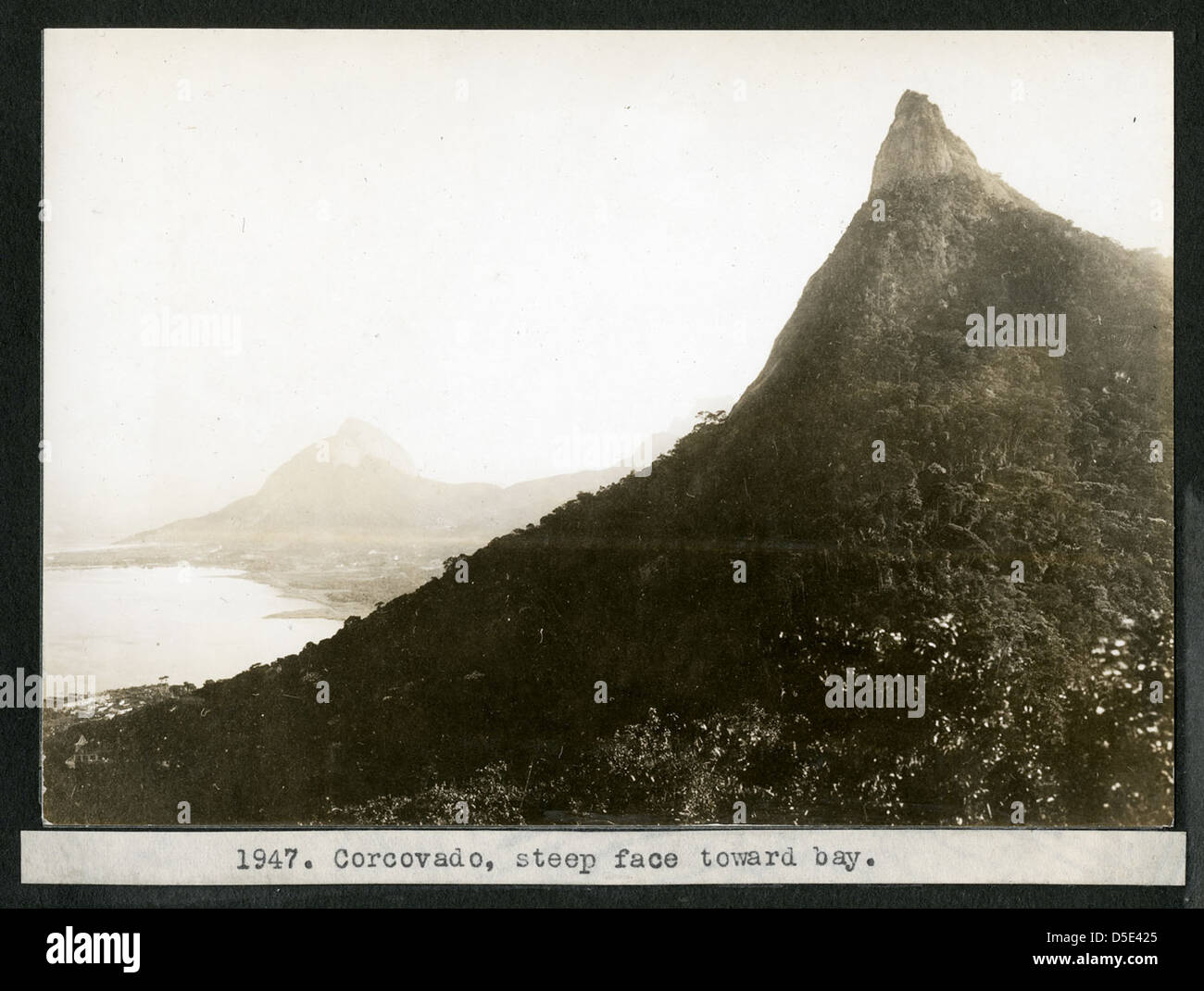 A photograph of Mary Agnes Chase conducting fieldwork in Brazil in 1947 ...
