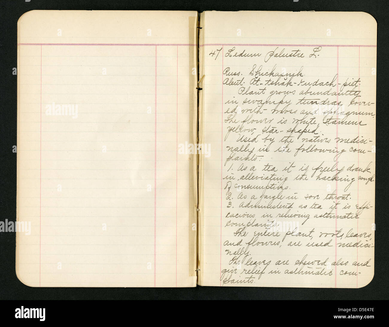 Provides scientific notes hi-res stock photography and images - Alamy