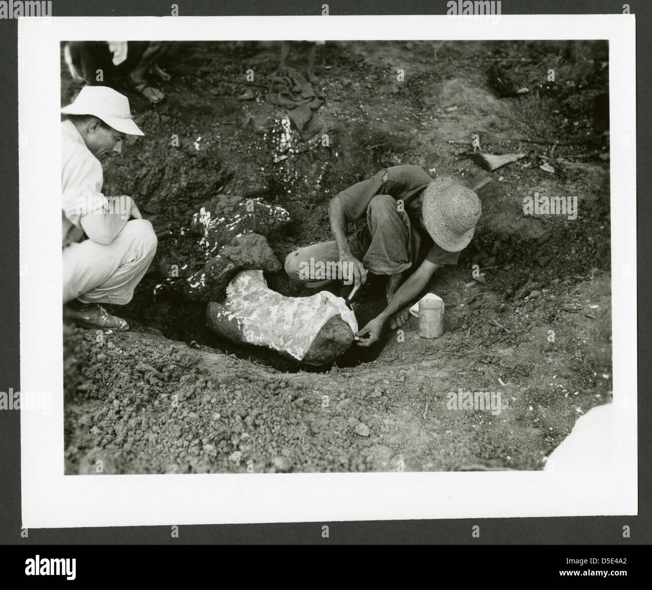 Field jackets for specimens, possibly made from repurposed old bandages ...